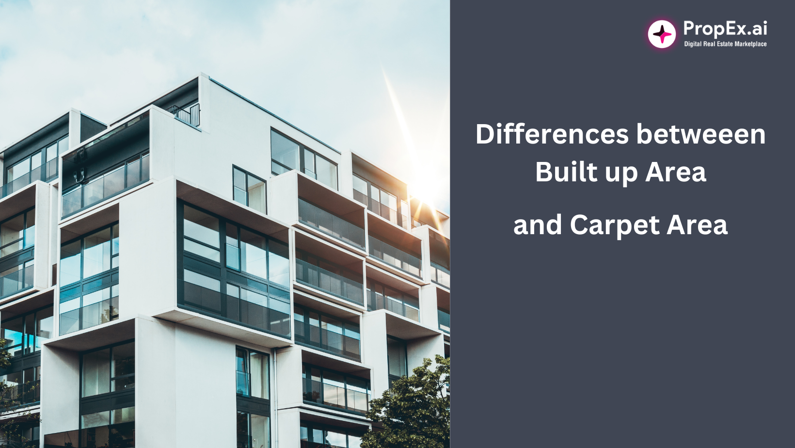 What are carpet areas and super built-up areas? - PropEx.ai - PropEx.ai ...